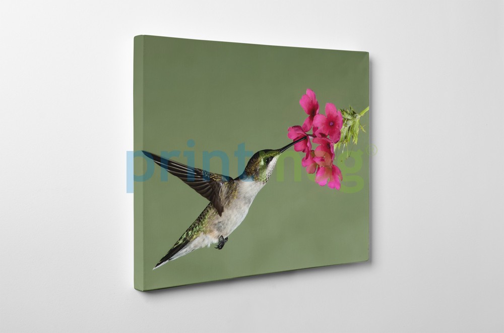 Tablouri canvas | PrintMag